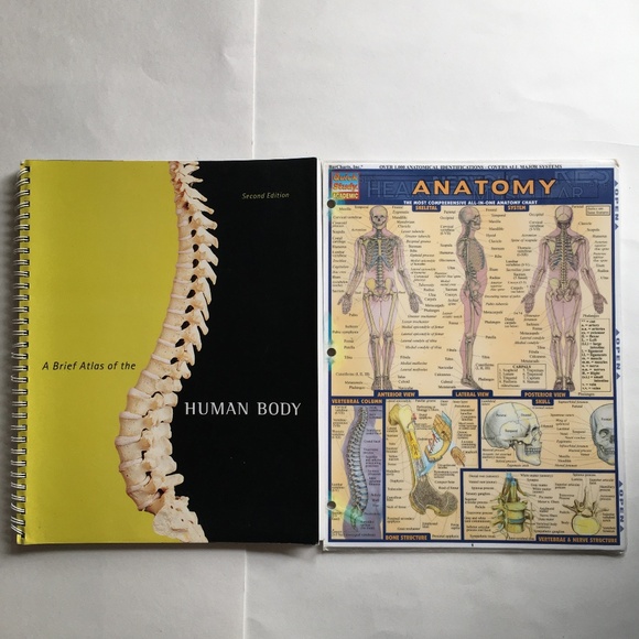Other | Book A Brief Atlas Of The Human Body And Anatomy Quick Study ...